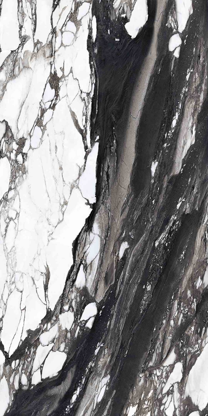 Calacatta Renoir - Slab Design Source - Countertops | Marble Look ...